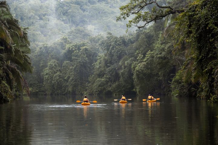 Off-Grid Stay in a Belizean Rainforest Preserve with Chocolate, Rum ...